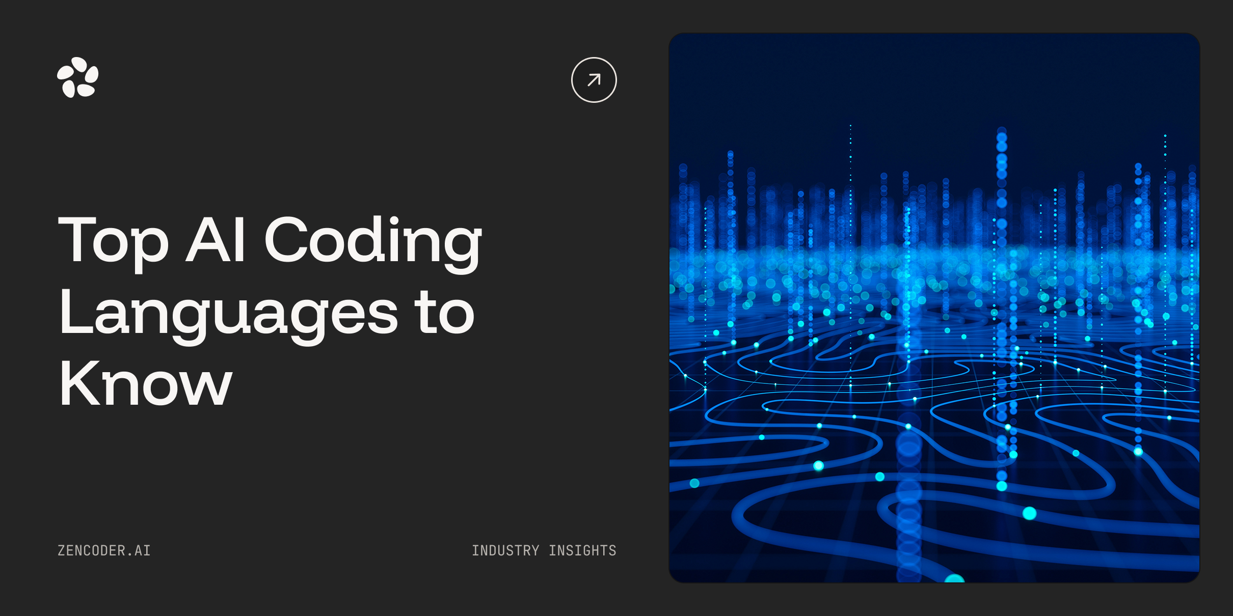 Top 5 AI Coding Languages to Know in 2025